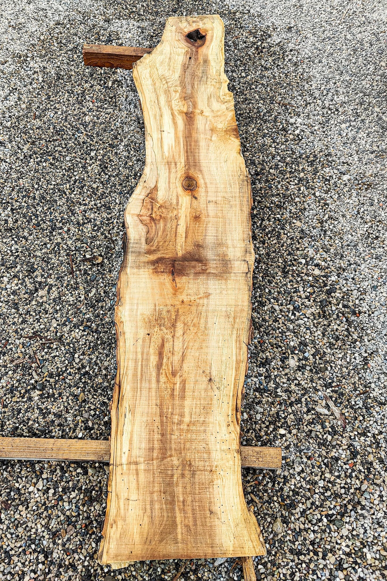 Érable sycomore – Mon plateau de bois