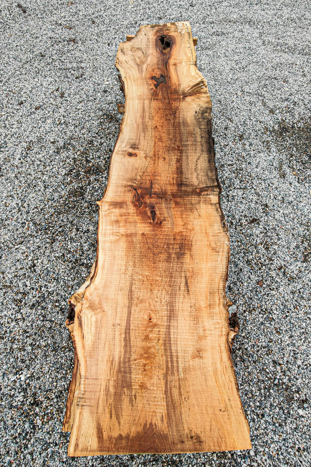 Érable sycomore – Mon plateau de bois