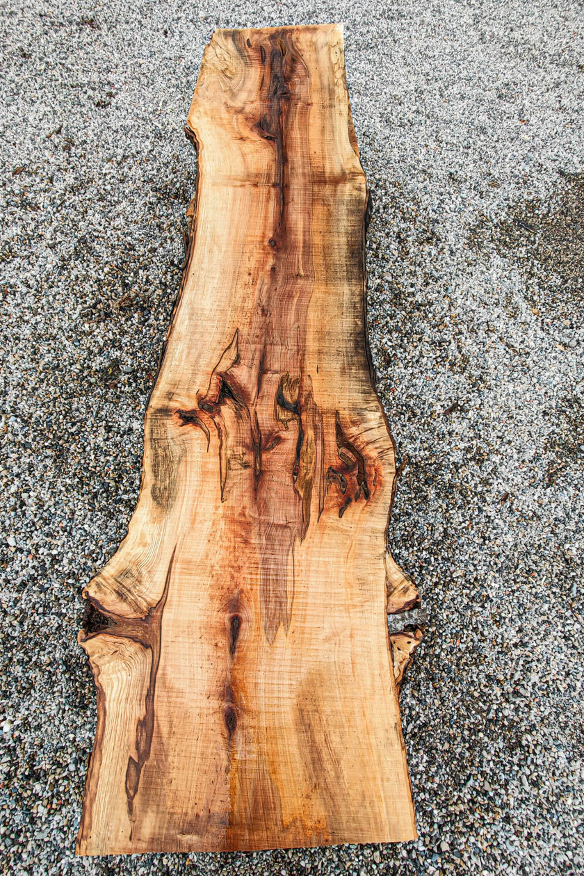 Érable sycomore – Mon plateau de bois