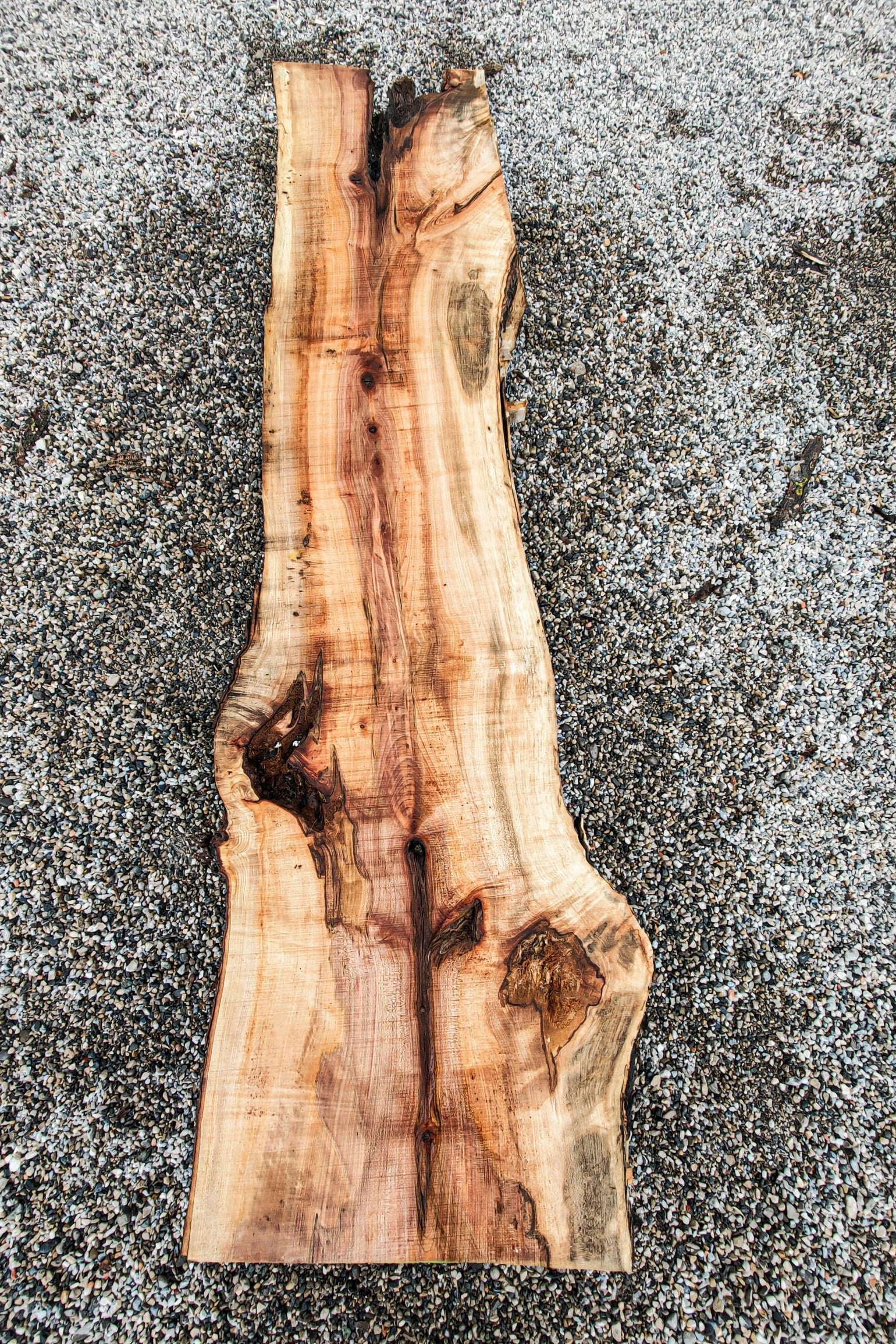 Érable sycomore – Mon plateau de bois