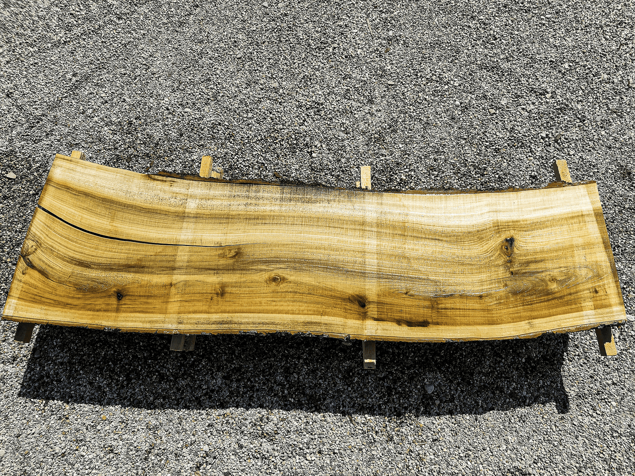 Tulipier de Virginie - TV 1-3 – Mon plateau de bois